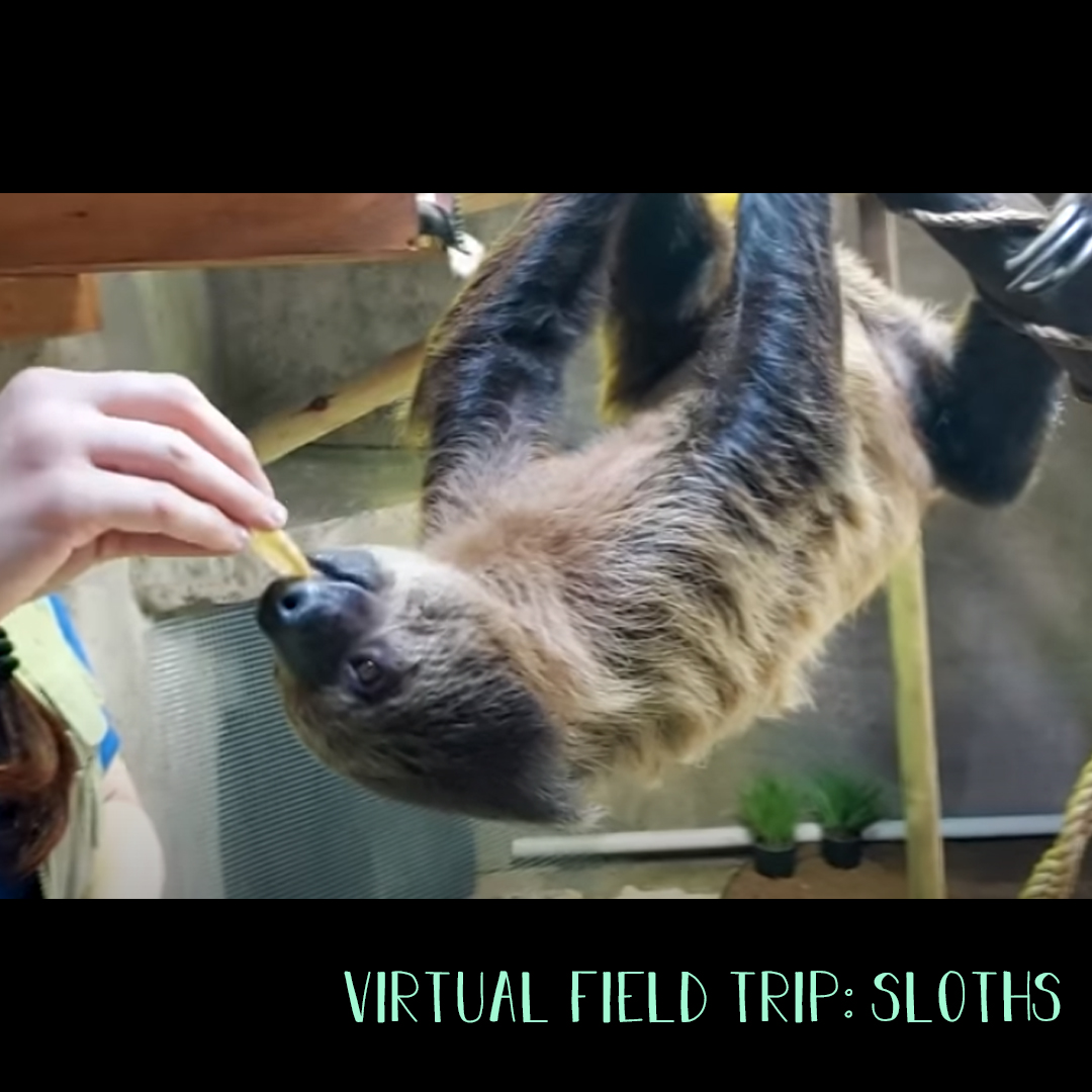 Educational & Fun Summer Activities for Kids - Spindletop